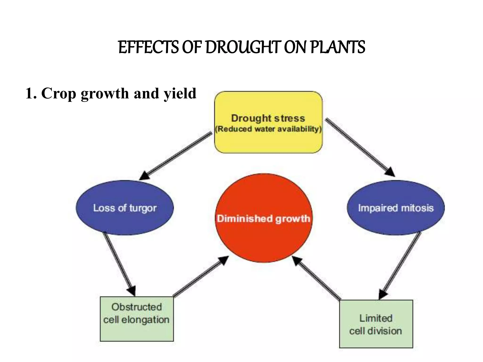Water Stress in Plant: Causes, Effects and Responses | PPTX | Gardening | Home & Garden