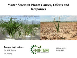 Water Stress in Plant: Causes, Effects and Responses | PPTX | Gardening | Home & Garden