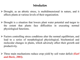 Water Stress in Plant: Causes, Effects and Responses | PPTX | Gardening ...