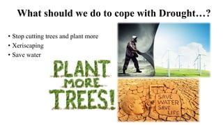 Drought | PPT