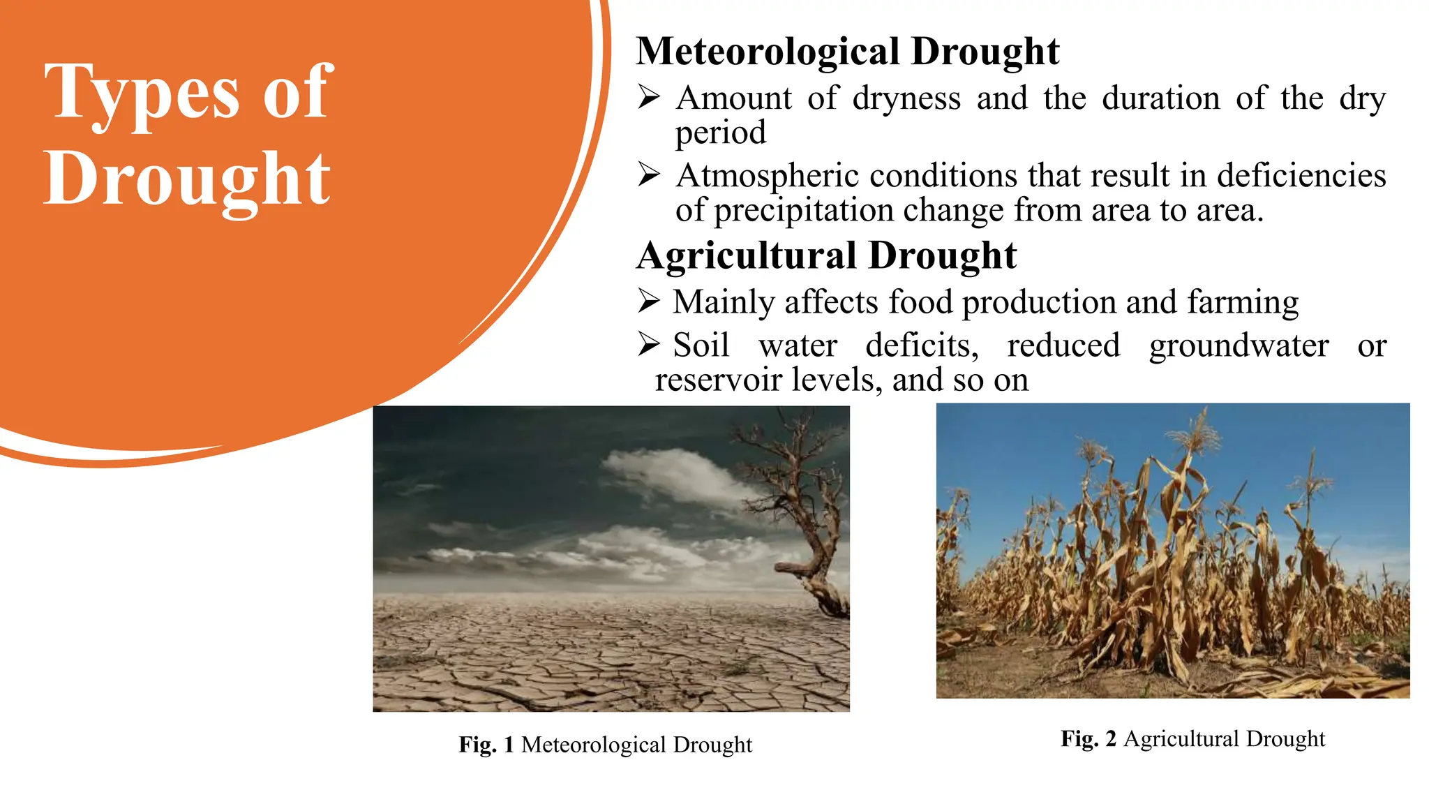 Drought, types, causes, effects, mitigation.pptx | Agriculture | Industries