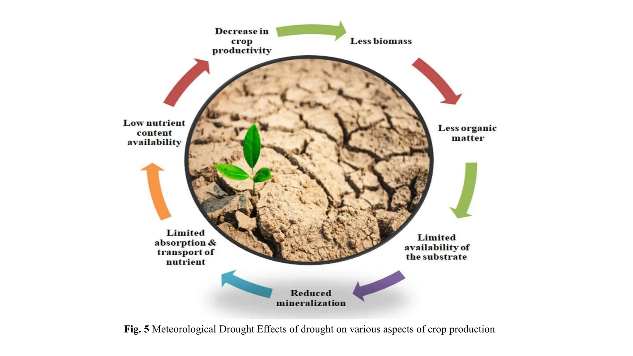 Drought, types, causes, effects, mitigation.pptx | Agriculture | Industries