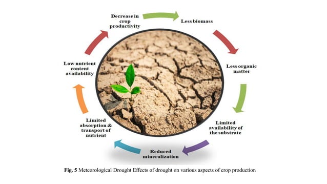 Drought, types, causes, effects, mitigation.pptx | Agriculture | Industries