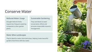 Ultimate List of Drought-Tolerant Herbs for Garden [Low-Maintenance Tips] | PPT