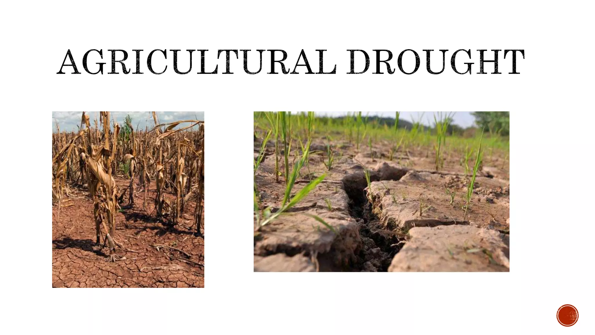 Drought and desertification | PPTX