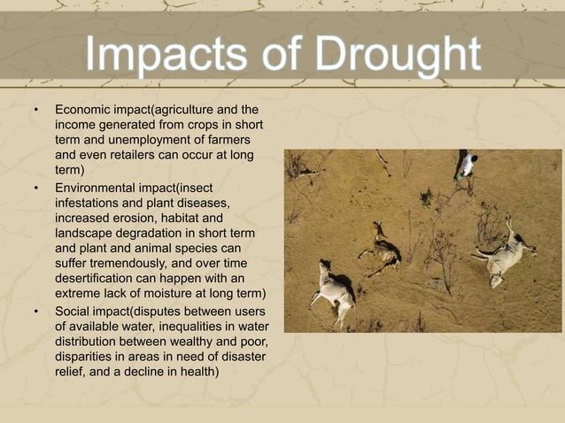 Drought and famine | PPT