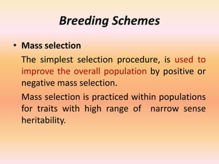 Breeding for Drought resistance in Rice | PPTX