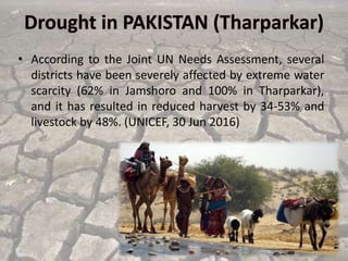 Drought in Pakistan | PPTX