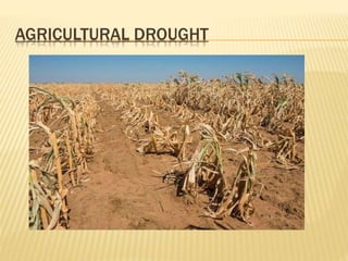 Drought management in rangelands | PPTX