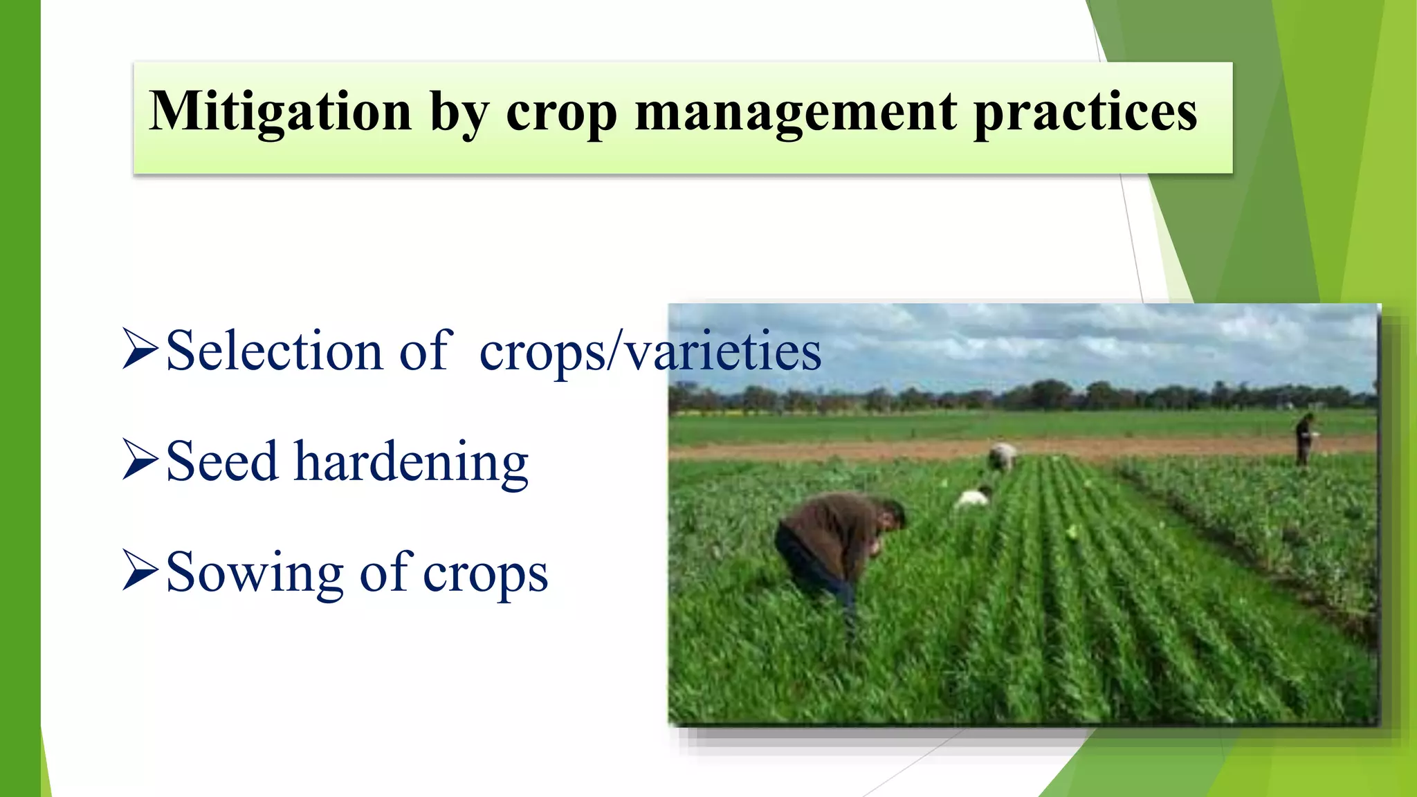 Disaster mitigation - drought | PPTX