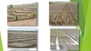 Disaster mitigation - drought | PPT