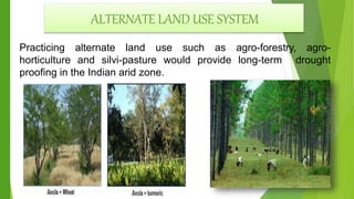 Disaster mitigation - drought | PPT