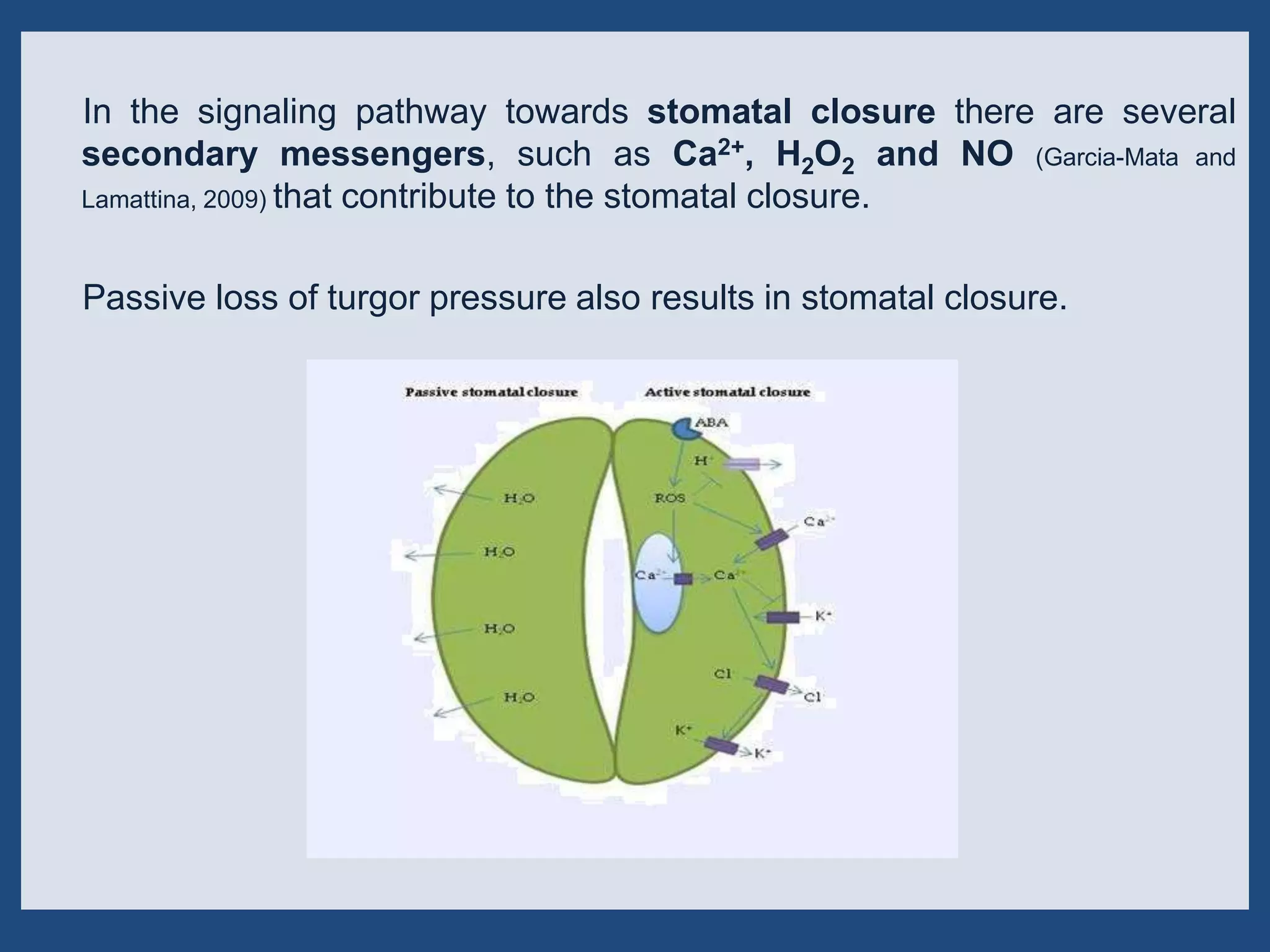 Drought n heat abiotic stress in plants | PPTX