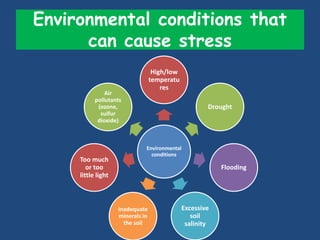 Drought n heat abiotic stress in plants | PPTX