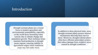 Drought Resistant Plants are a crucial focus in modern Agriculture and ...
