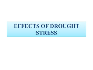 Drought stress Effects and Breeding Strategies | PPTX