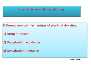 Drought stress Effects and Breeding Strategies | PPTX