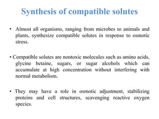 Drought Tolerance Agri Ppt | PPTX