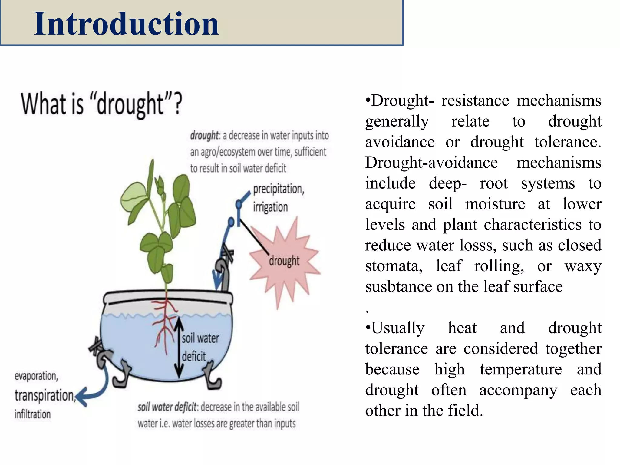 Drought tolerance in crops | PPTX