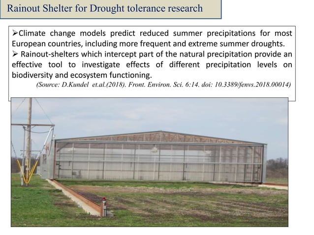 Drought Tolerance In Crops Pptx