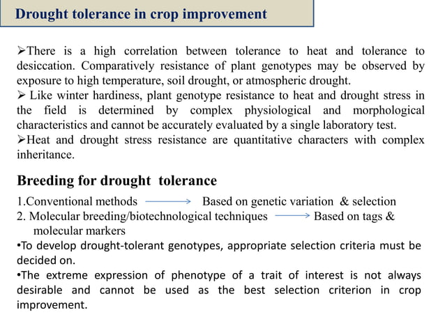 Drought tolerance in crops | PPTX