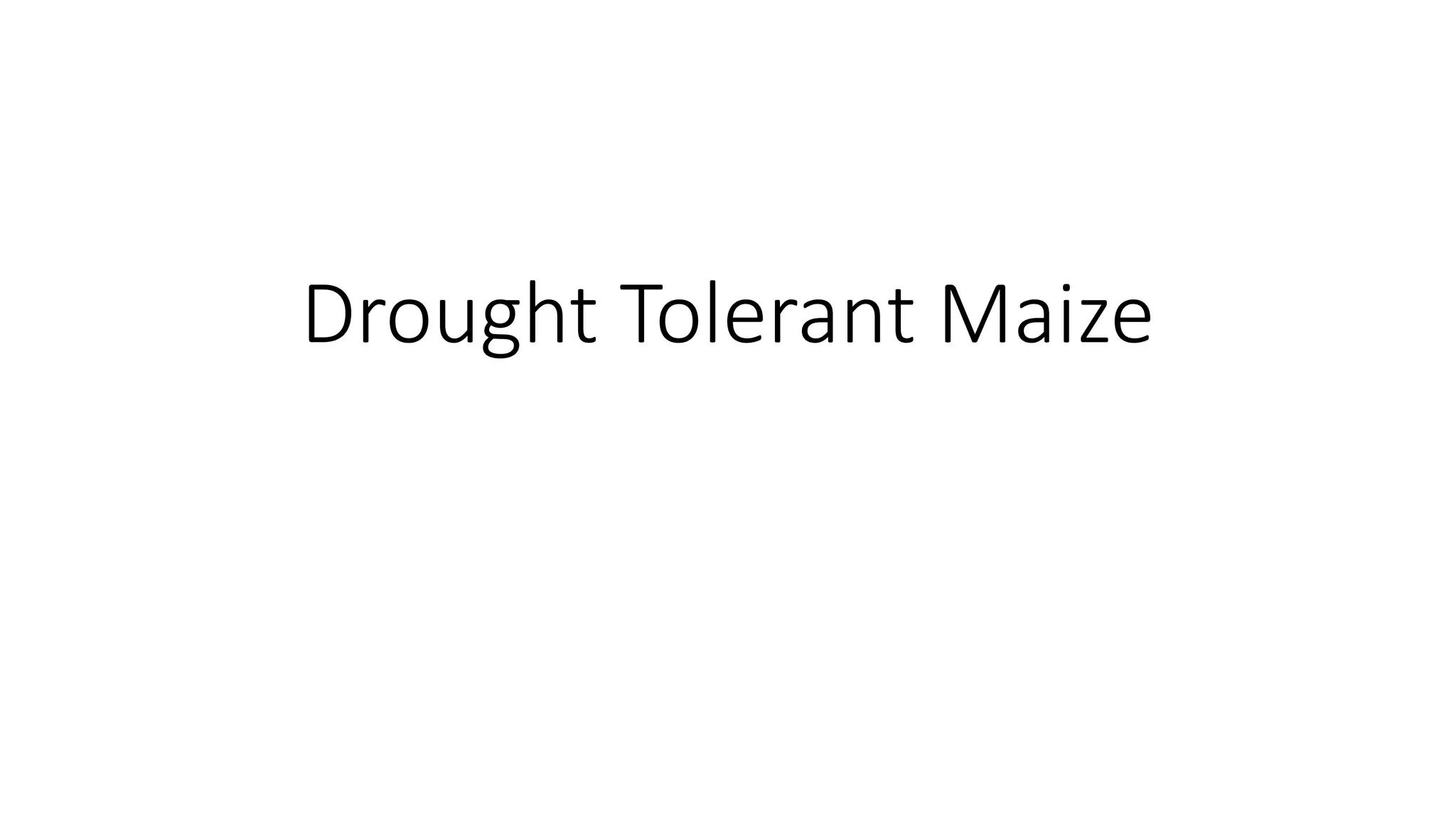 Drought Tolerant Maize_074808.pptx.agriculture | PPT