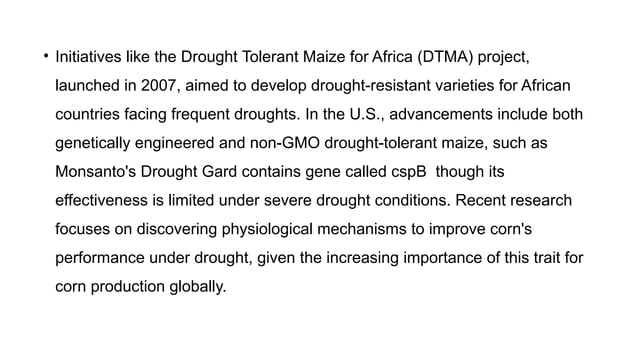 Drought Tolerant Maize_074808.pptx.agriculture | PPT