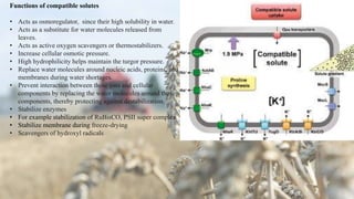 Drought Tolerence in Plants.pptx