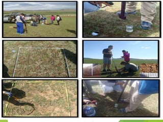 Drought watch system | PPT