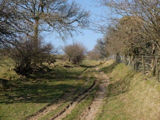 The Drovers in West Wales | PPT