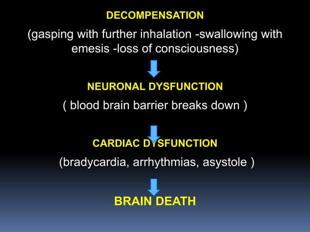 Drowning | PPTX | Lung and Respiratory Health | Diseases and Conditions
