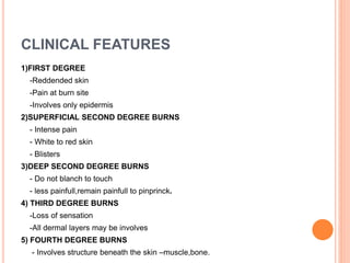 drowning and burns ppt.pptx