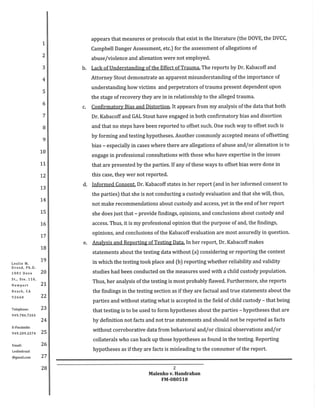 Drozd report | PDF