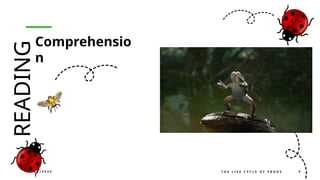 DRP ExeNo. 36 THE LIFE CYCLE OF FROGS.pptx