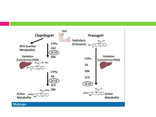 Drp interaksi obat [autosaved] | PPTX