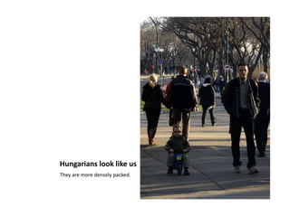 Hungarian Culture | PPTX