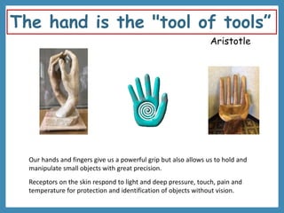 Motion is lotion: the Importance of Hand and Face Exercises and ...