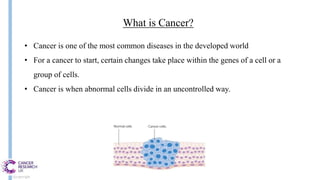 Distress in Cancer Patients | PPTX