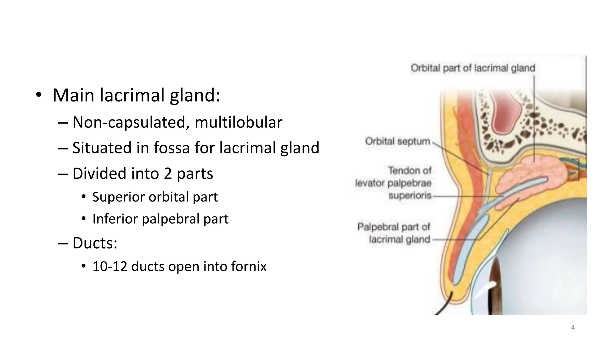 Lacrimal Gland Tumor-Dr.PrabhatDevkota.pptx