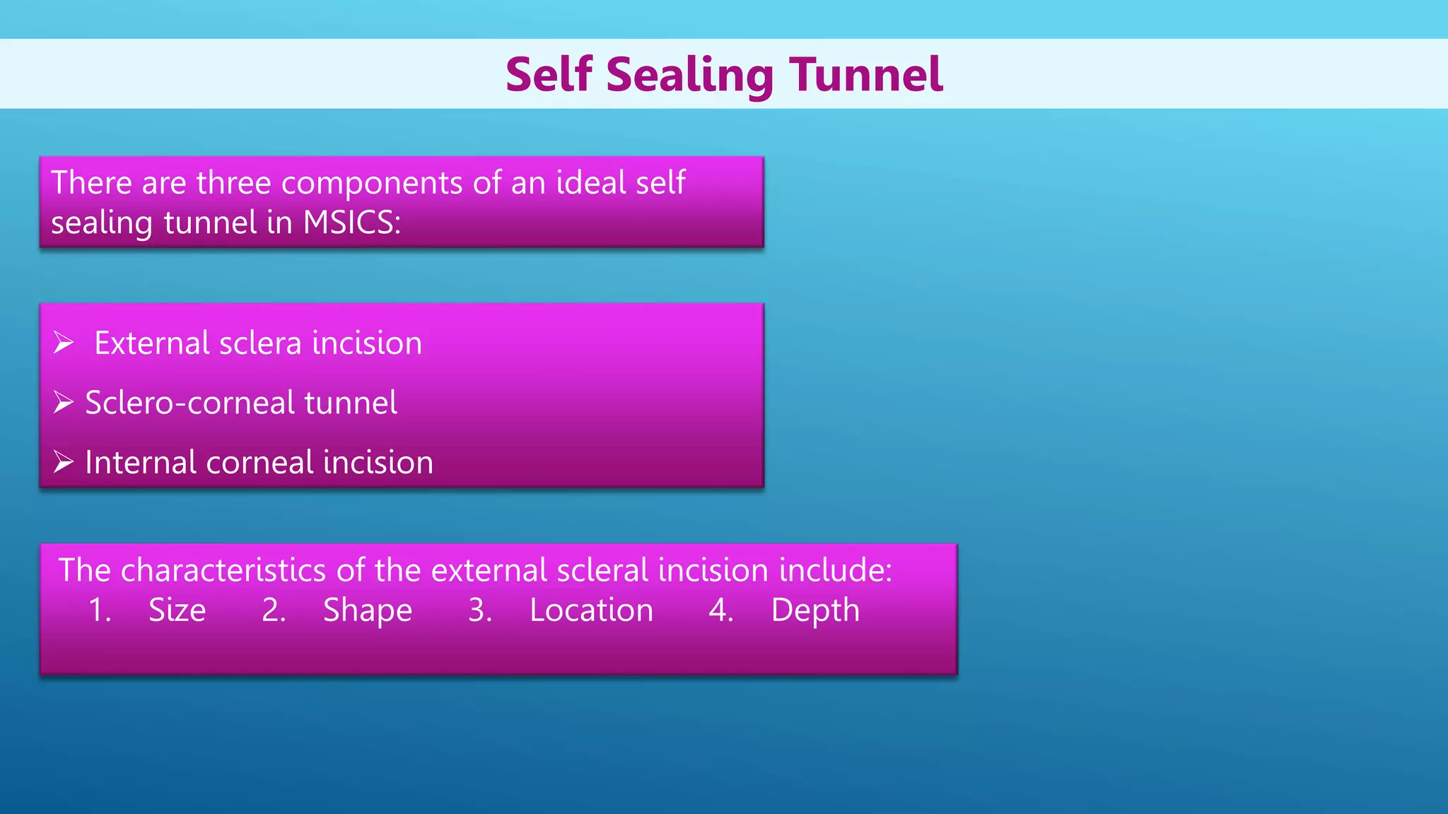 Dr Prakash Bam MSICS.pptx
