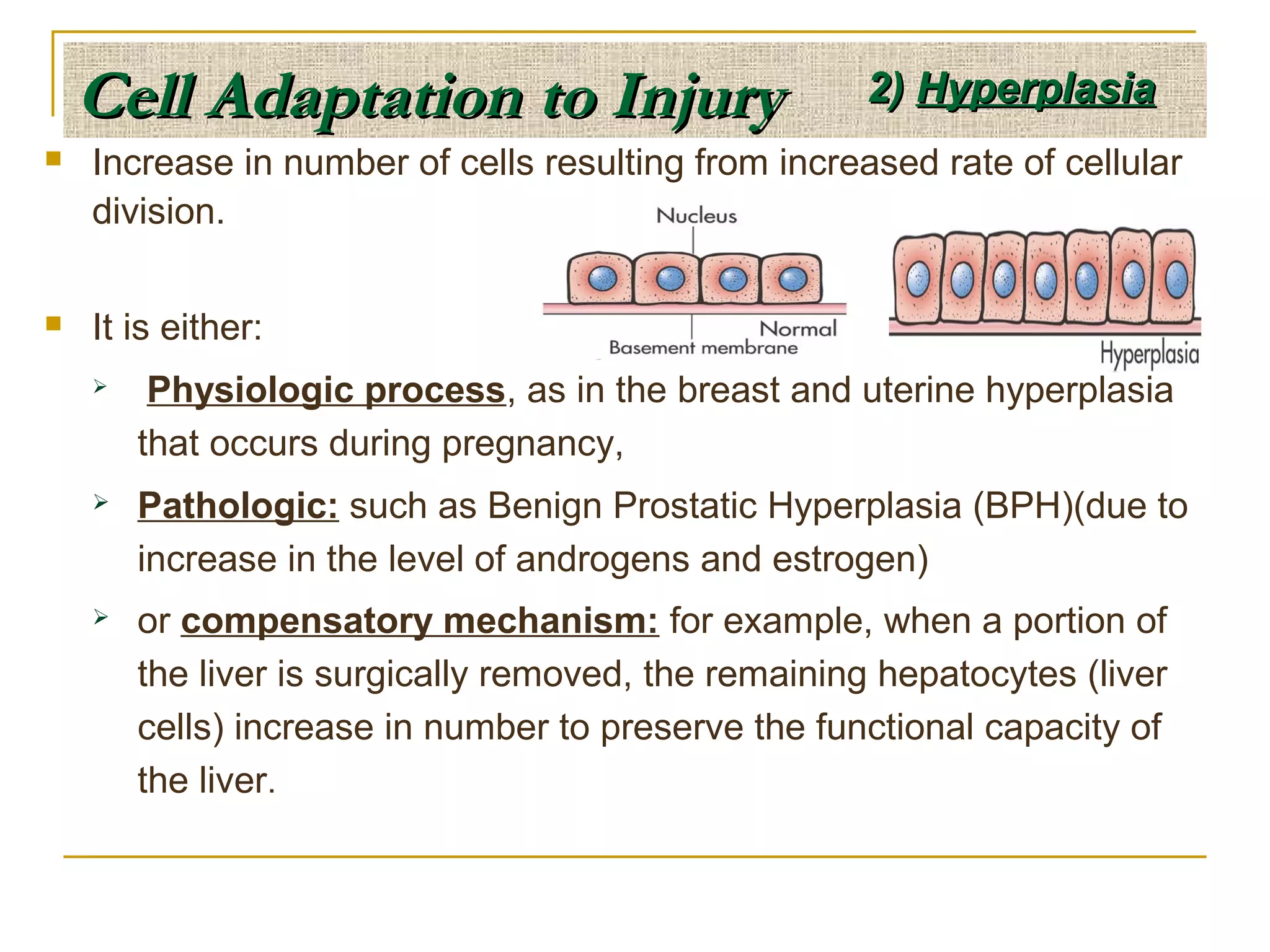Dr prashanth jain;basic pathology | PPT