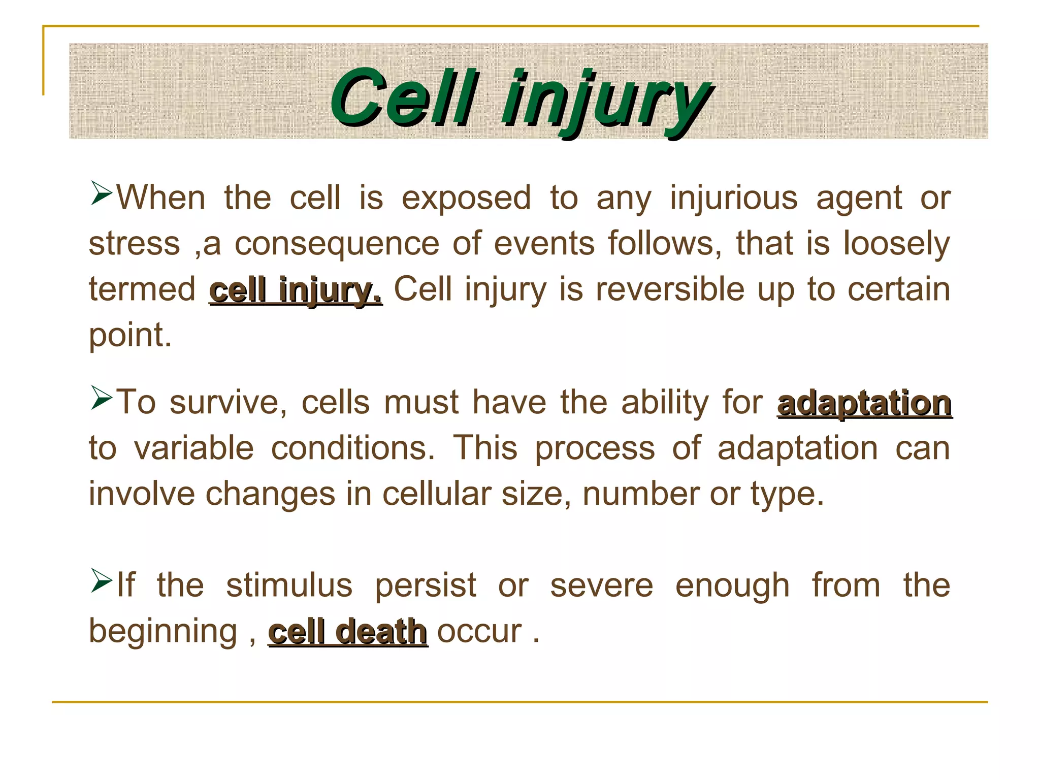 Dr prashanth jain;basic pathology | PPT