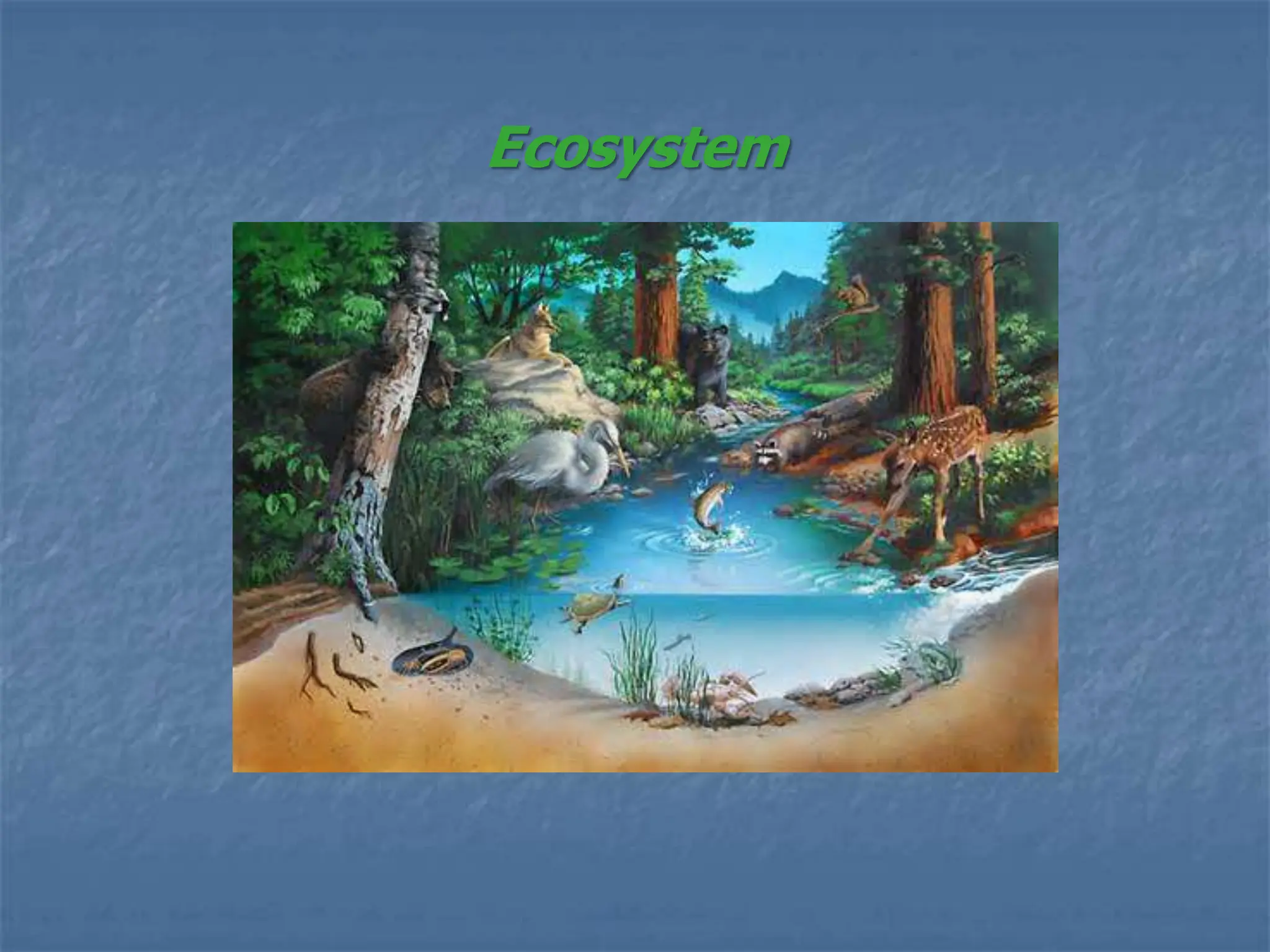 Dr Praveen Kumar Ecosystem explained.ppt