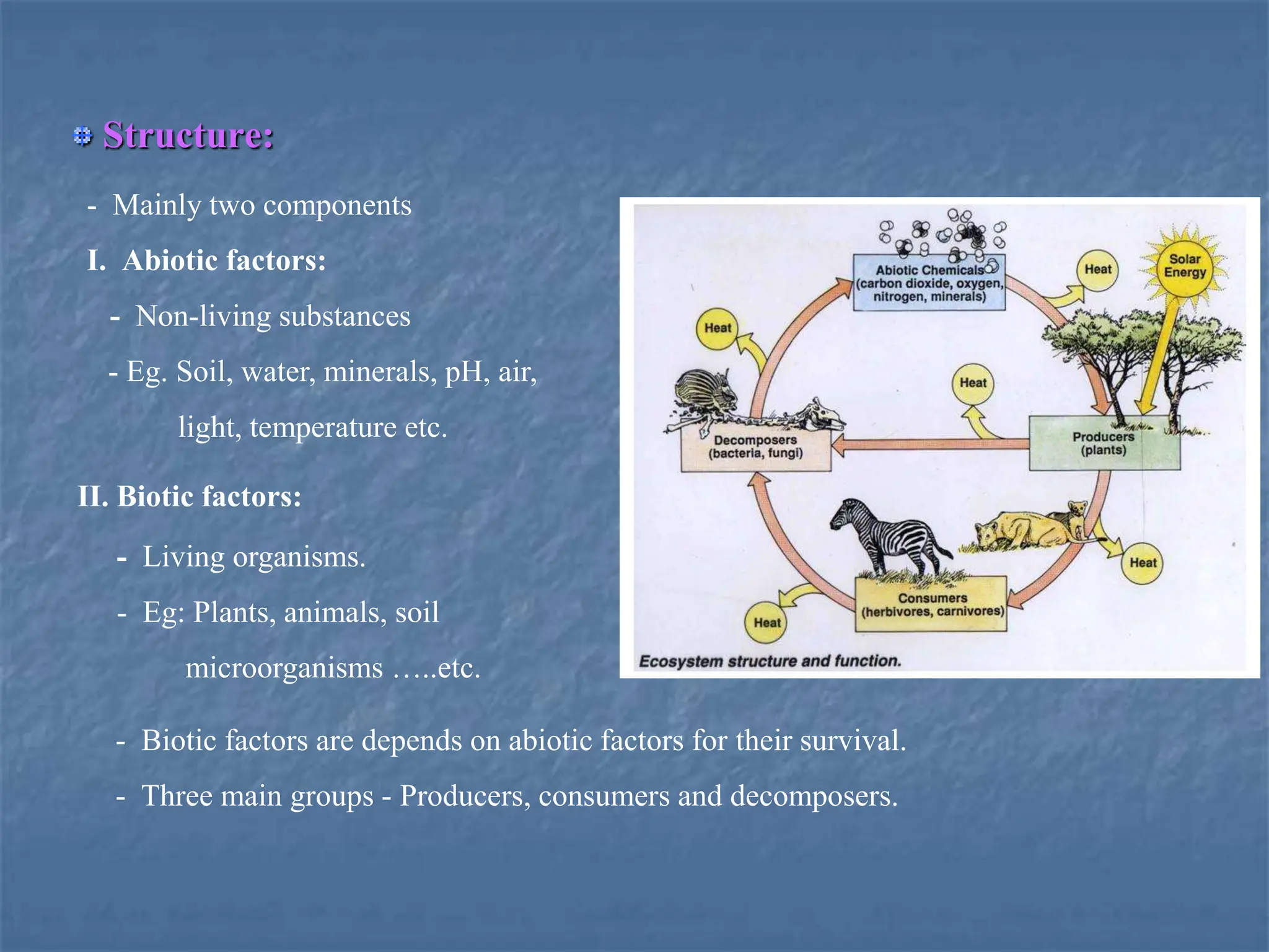 Dr Praveen Kumar Ecosystem explained.ppt