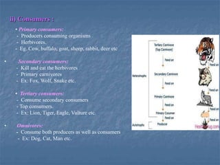 Dr Praveen Kumar Ecosystem explained.ppt
