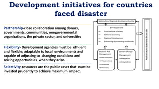 Disaster Risk Reduction | PPTX