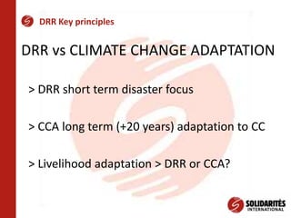 DRR.pptx