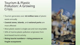 Green Trails, Blue Planet Combating Plastic Pollution Through ...