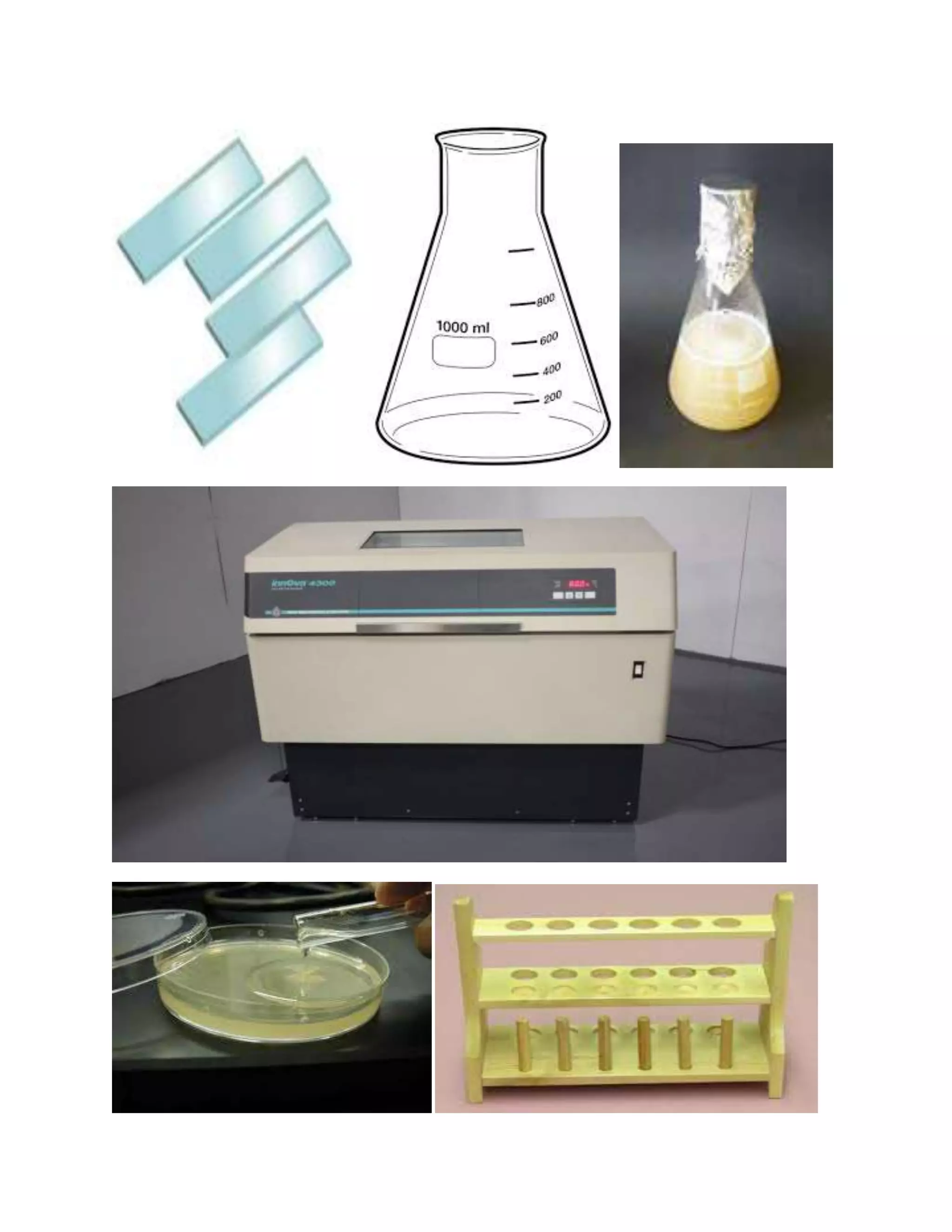 Microbiology lab instruments | DOCX