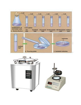 Microbiology Lab Equipment